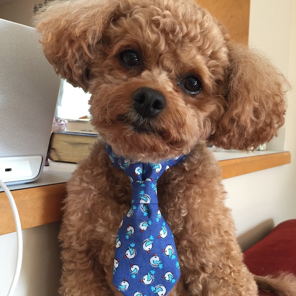 Necktie for Dogs, Handmade Necktie, Dog Accessories, Fabric Ties, Tie ...