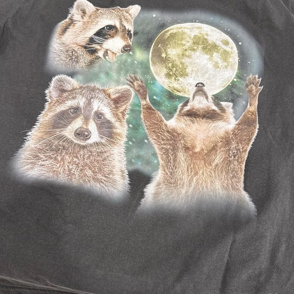Three Raccoons Retro Graphic T-shirts, Vintage Comfort Colors® Raccoon ...