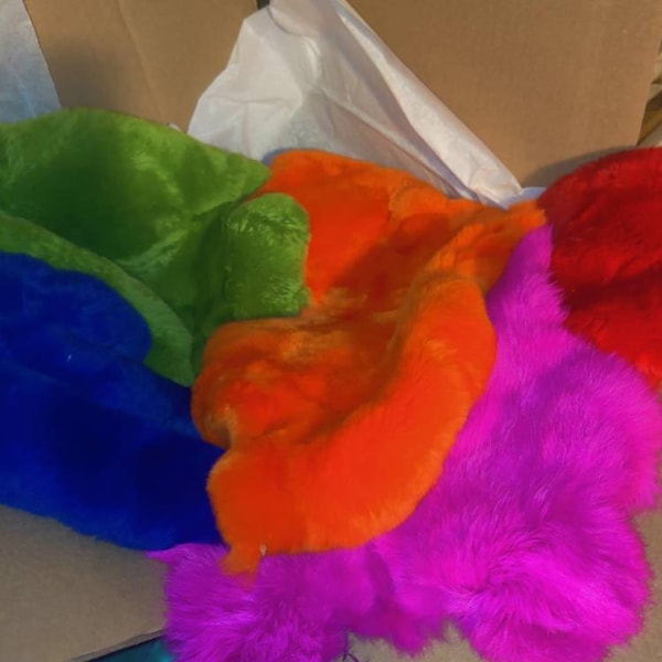 10" to 11" River Cooter Turtle Shell (1077-1011) Y3K - Etsy