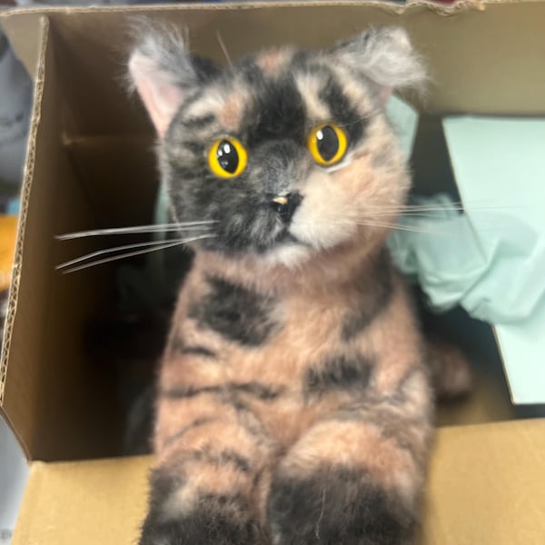 Handmade Tortoiseshell Cat Plush: Realistic Companion Gift (made to ...