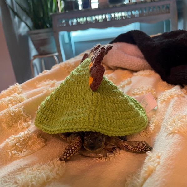Handmade Turtle Sweater: Custom Dino-themed Pet Clothing - Etsy