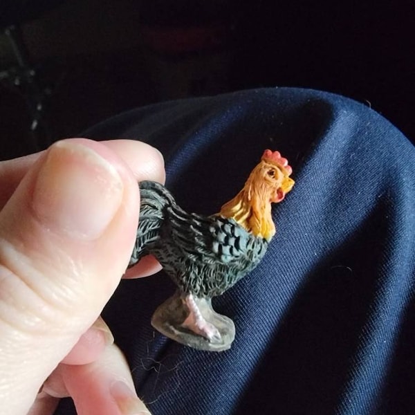 Miniature Chickens, Micro Mini Chicks, Rooster, Hens, Fairy Garden Farm ...
