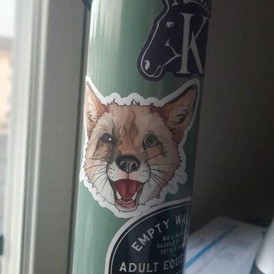 Button Eyed Fig the Fox Weather Proof Sticker - Etsy