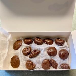 Foil Wrapped Chocolate Seashells, 1 Lb Bulk Boxed, Approx 43 Pcs. Any ...