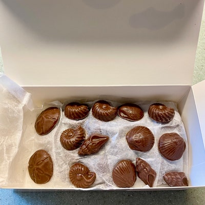 Foil Wrapped Chocolate Seashells, 1 Lb Bulk Boxed, Approx 43 Pcs. Any ...