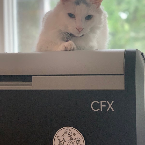 Van Life / Let's Go! / Vinyl Sticker / Inspirational Quote / Laptop ...