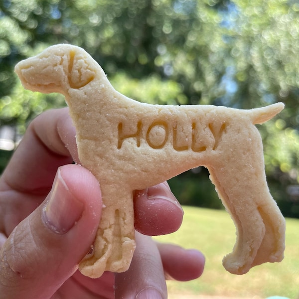 Labrador Retriever Cookie Cutter Custom Treat Personalized Pet Lab ...
