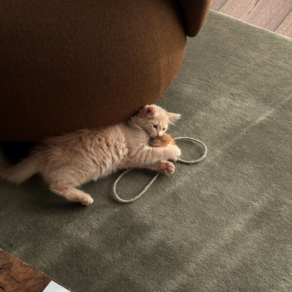 Hemp Fabric and Feathers Cat Kicker Toy With Catnip by Your Choice ...