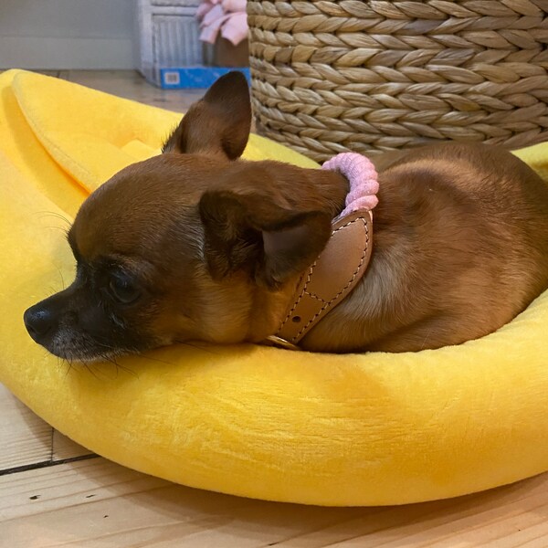 Dog Flight Jacket | Red - Etsy