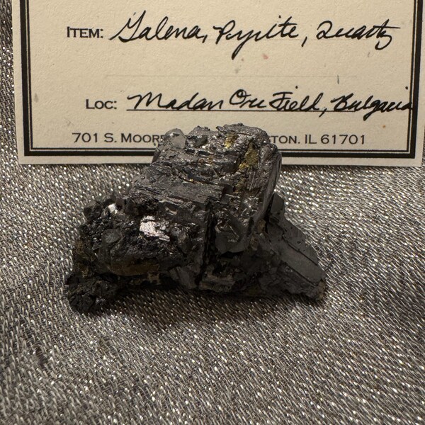 Carboniferous Period Fossils - Large Red-brown Shale Slab of Compressed ...