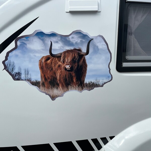 Motorhome Vinyl Graphics Sticker Decal RV Caravan Camper Life 70CM X ...