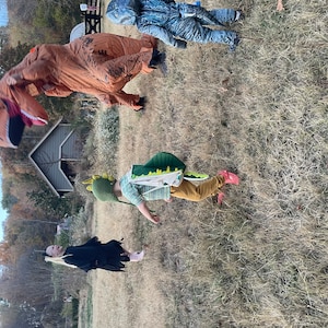 Sewing Patterndino Dana Inspired Backpack Pattern: Spinosaurus - Etsy