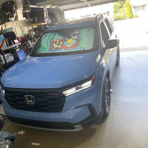Bluey Auto Sunshade Car, Cartoon Car Sunshade, Bluey Car Sunshade ...
