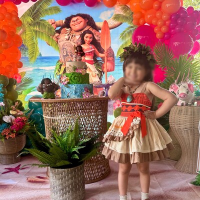 Cinderella Inspired Dress, Cinderella Work Dress, Cinderella Rags ...