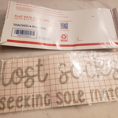 Women's Sheer Fruit Salad, White Mesh, Lace, Tulle, Transparent ...