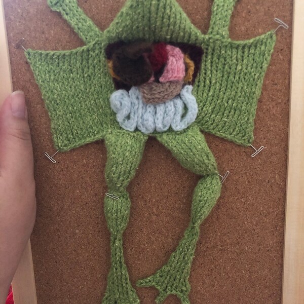 Knitted Dissected Bat Specimen - Etsy