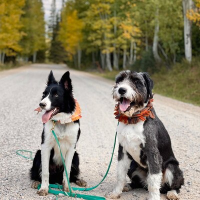 Curriculum Maps for Homeschooling Pre-k-10th Visual Lesson Planning ...