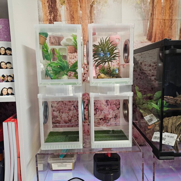 Jumping Spider Small Animal Enclosure Pet Habitat - Etsy