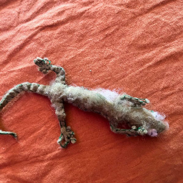 Catnip Cat Toy, Lizard, Cat Toy, Catnip, Lizard Cat Toy, Cat, Catnip ...