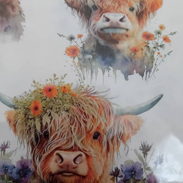 Rice Paper for Decoupage, Highland Cows, Collage Sheet, Decorative ...