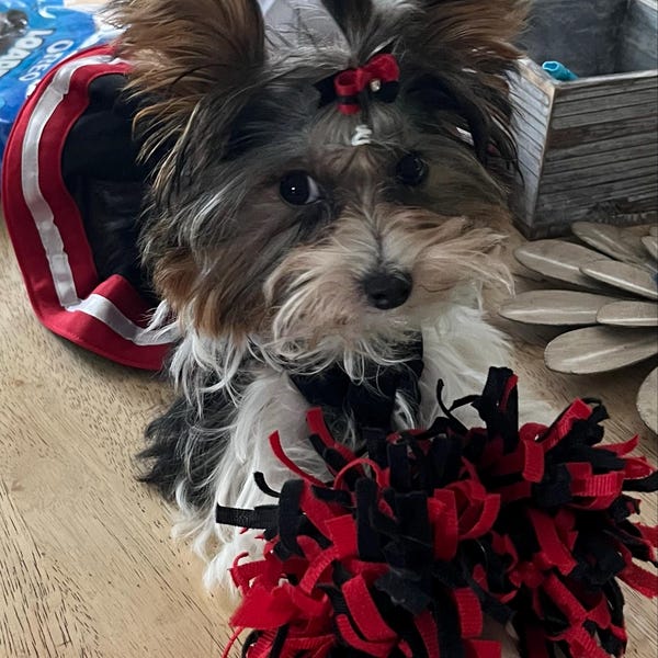 We Are EXTRA Thankful for You, Thanksgiving Treat Tag, Gift Tag, Holiday Thank You Tag, Teacher ...