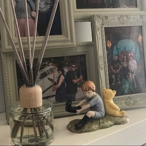 100ml Reed Diffuser Choose a Scent Disney Inspired Reed - Etsy