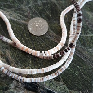 Conus Shell Heishi Beads. Long 24 Strands of Heishi Shell, Available in ...