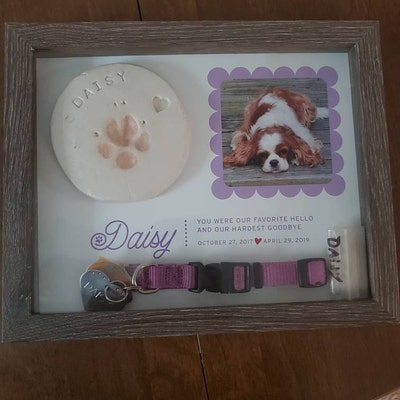 Pet Memorial Paw Print Harness Holder Shadow Box, Pet Loss Frame, Clay ...
