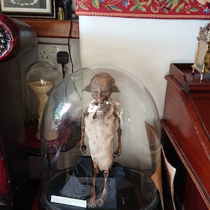 Rat Christ Ooak Cursed Crucifix Sculpture - Etsy