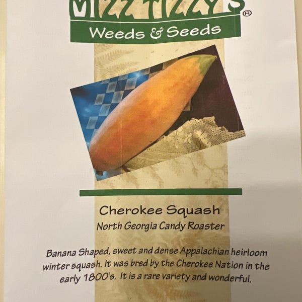 Cherokee, North Georgia Candy Roaster Squash . Cucurbita Maxima - Etsy