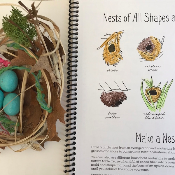 SPRING Journal - Homeschool Printable Nature Study Charlotte Mason ...