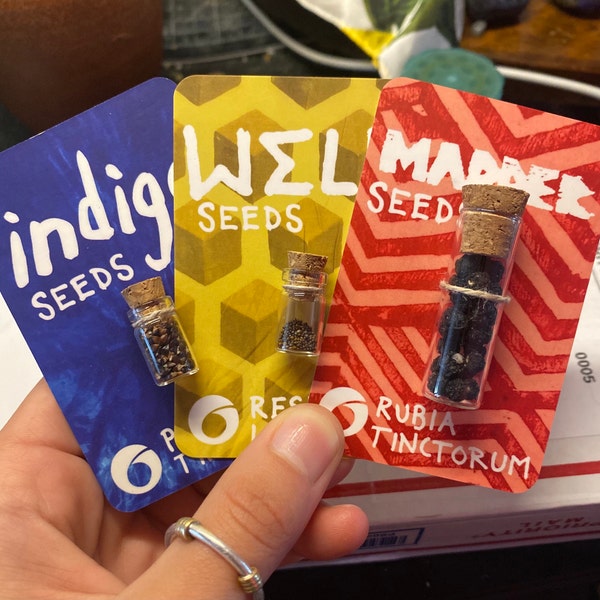 Weld Seeds : Yellow Natural Dye Plant - Etsy