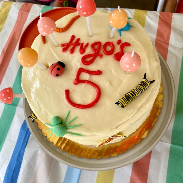 A Set of 12 Fondant Bugs Cake or Cupcake Toppers. Edible Bugs/worms ...