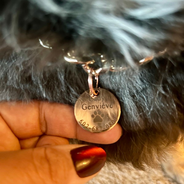 Microchip Dog Tag, Custom Dog Tag, Microchipped, Pet Tag, Dog ID Tag ...