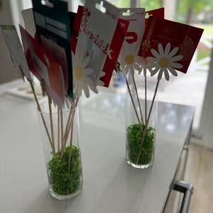 Rainbow Gable Box With Pastel Colors Rainbow With Bow. Great for Any ...