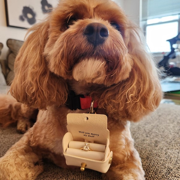 Personalised Dog Proposal Engagement Ring Pouch | Pet Proposal Idea ...
