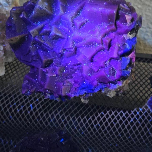 Color-change UV Reactive Purple Rain Pocket, Lady Anabelle Mine ...