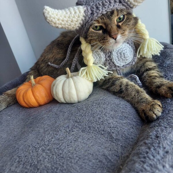 Brunhilde, Vikings, Valkyries, Wagner Opera, Hats for Cats, Pet Hats ...