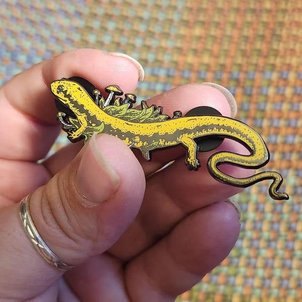 Salamander Lapel Pin / Artist Series Pin by Logan Schmitt / Lizard ...