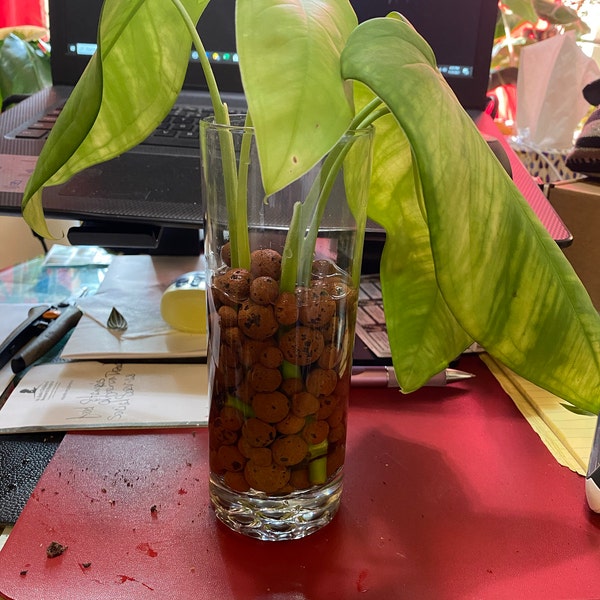 IPhone Lockscreen Classic Ipod Wallpaper Pack [3 HD Images] - Etsy