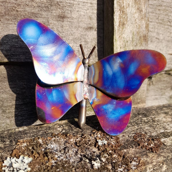 Gloss Black Spider. Made From Stainless Steel Dome Nuts. Scary ...