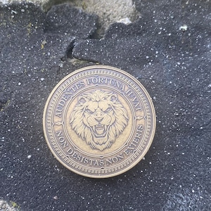 Dum Spiro Spero Coin EDC Reminder Coins Hope Challenge - Etsy