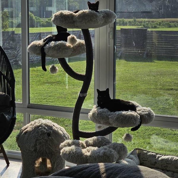 Wood Floral Cat Tree Tower, Wooden Cat Tower, Modern Cat Climbing Tree ...