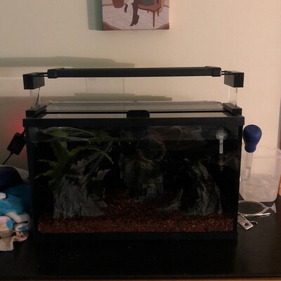 Nicrew Classic, Gen 2, G2, & Plus LED Light Riser, Attractive Stable ...