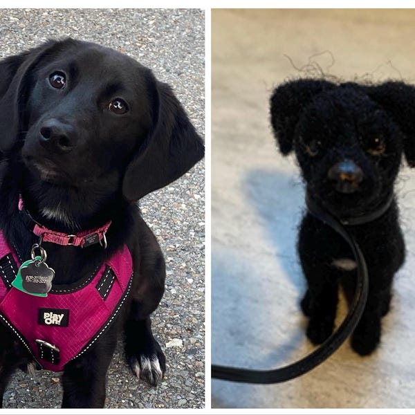 Custom Felt Wool Puppy Plush Toy | Custom Felt Wool Dog Portraits ...