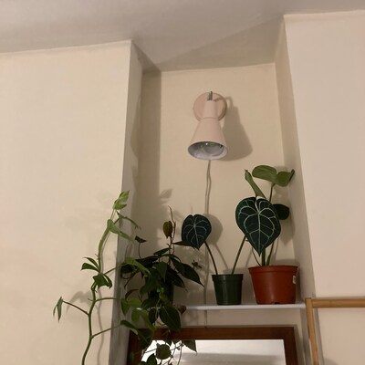 Paper Planter for Paper Plant SVG and PDF, Template Paper Pot DIY - Etsy