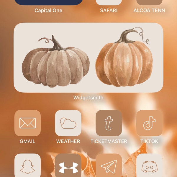 Fall App Icons, Autumn Aesthetic Boho iPhone Covers, Ios 14 App Icons ...