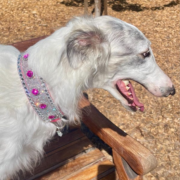 Blush Pink Real Rhinestone Bling Dog Collar, 4 Rows of Diamonds ...