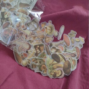 Sticker Pack / 40 Pc. Vintage Style Leaves & Stems Stickers - Etsy