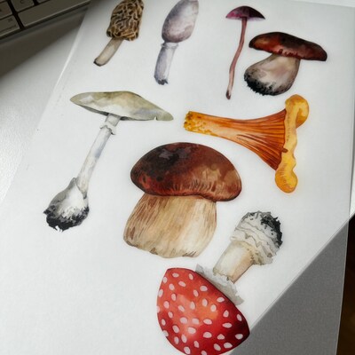 Watercolor Mushrooms Clipart, Fall Clipart, Thanksgiving Clipart, Fall ...